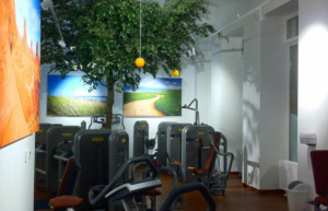 Your Gym in Vienna | Circle Gym Fitness